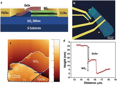 A Schematic Representation Of P‐gesen‐ws2 Vdw Heterojunction B