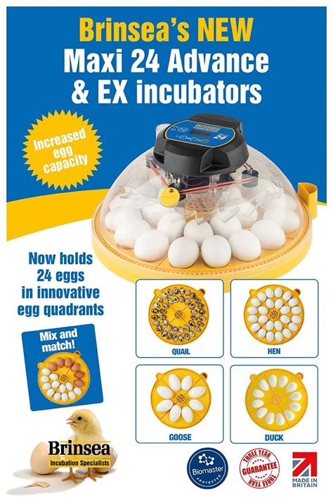 New From Brinsea Products The Bestselling Maxi II Incubators Have Been