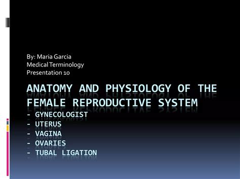 Presentation 10 Anatomy And Physiology Of The Female Reporductive
