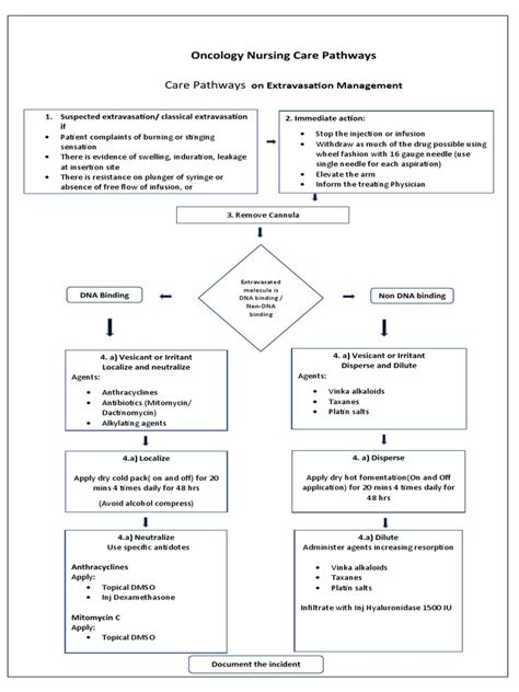 Care Pathway On Extravasation Management Pdf Intravenous Therapy