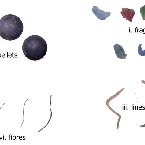 Types Of Microplastic Morphologies Identified For The Automatic