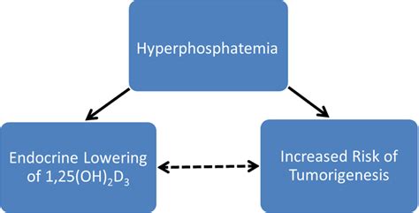 Vitamin D Hyperphosphatemia Cancer Hypothesis Hyperphosphatemia Causes