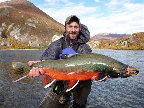Fishing In Alaska Hot Sex Picture