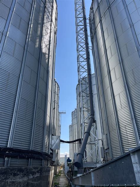 Grain Hub Ag On Linkedin Wheat Season Just Started As Per 4th Of July