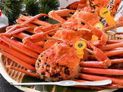 指折れ越前がに06〜07kg 3杯セット 越前蟹の蔵 やまに水産