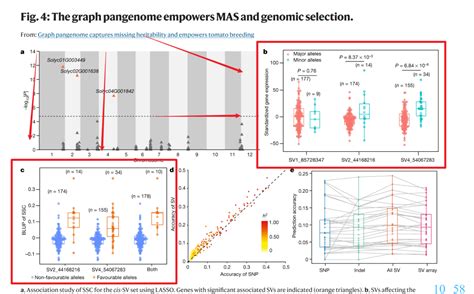跟着nature学作图：r语言ggplot2箱线图叠加蜂群图完整示例 腾讯云开发者社区 腾讯云