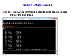 Linkage Mapping Lab PPTX Genetics Science