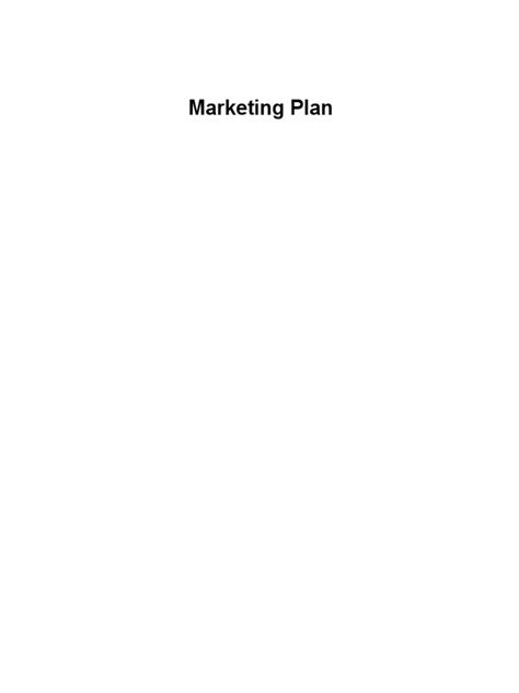Marketing Plan Final Final Pdf Brand Popular Culture And Media Studies