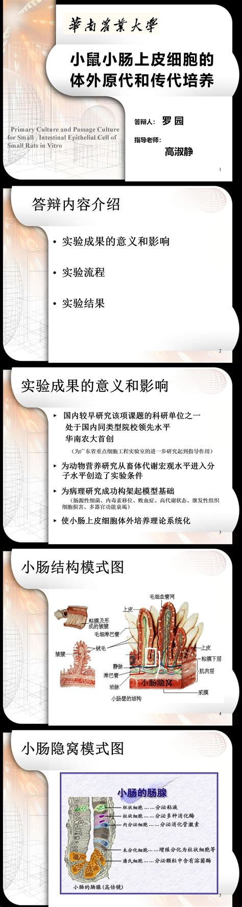 小鼠小肠上皮细胞的体外原代和传代培养 Ppt 竞赛文库网