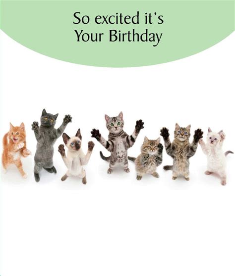 So Excited Birthday Card Purrfect Cat Ts Reviews On Judgeme
