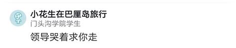 985硕士入职八个月被通知裁员领导哭着谈话同事疯狂帮忙但还是走了 技术阅读 虫虫下载站