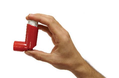 Clenbuterol Review Uses Side Effects And Legal Alternatives