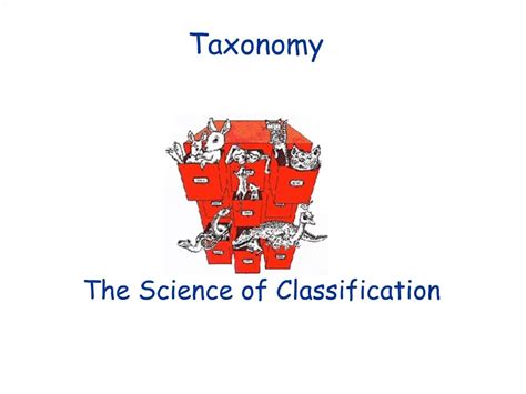Ppt Taxonomy Powerpoint Presentation Free Download Id 704403