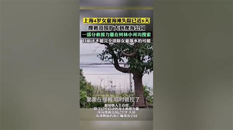 上海4岁女童海滩失踪近6天，搜救范围再扩大，根据目击者的线索，目前，还不能完全排除女童落水的可能性 Shorts Youtube