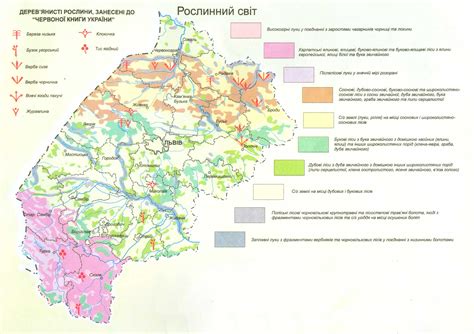 Рослинність Львівщини Ліси Львівської області
