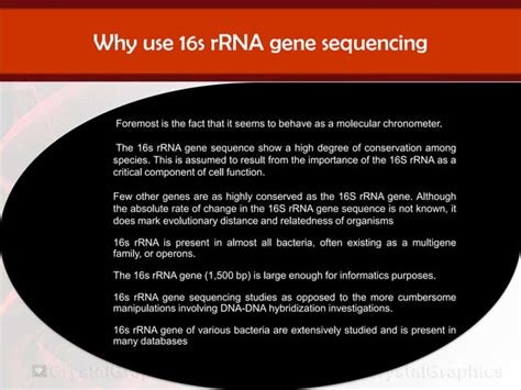 Bacterial Identification By 16s Rrna Sequencingppt Biological