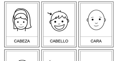 Recursos De Apoyo Educativo Partes Del Cuerpo Humano Para Imprimir