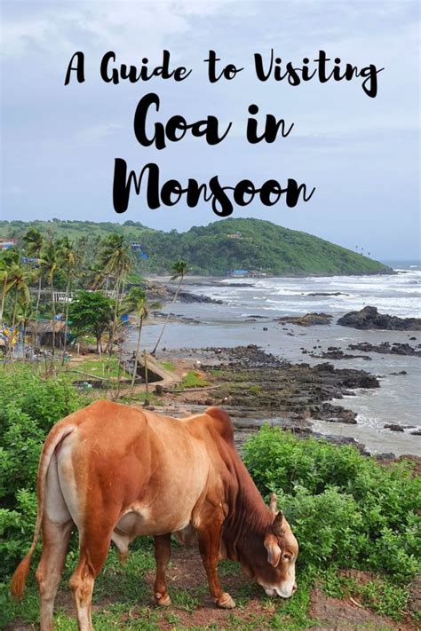 The Ultimate Guide To Visiting Goa In Monsoon Insiders Tips Global Gallivanting Travel Blog