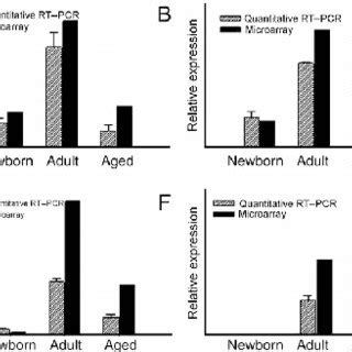 Confirmation Of Microarray Results Via Quantitative Real Time RT PCR Download Scientific