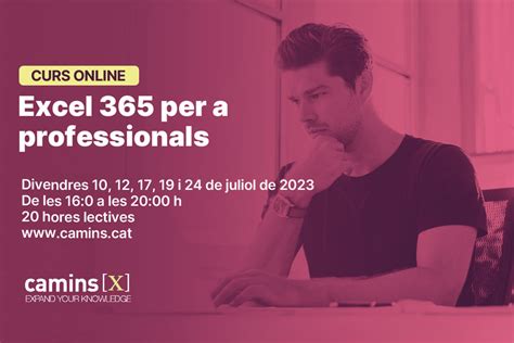 Excel 365 Per A Professionals Camins
