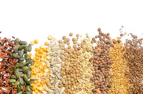 마른 유기농 다채로운 시리얼과 곡물 종자 줄무늬그룹은 쌀 호박 씨 대두 렌즈콩 아마씨로 구성되었으며 흰색 배경에는 텍스트를 추가할 수 있는 복사 공간이 있습니다 갈색에 대한