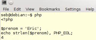 Php Strlen Vs Mb Strlen La Fabrique De Code Tech Blog