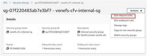 Create The Internal Security Group Apex File Storage For Aws