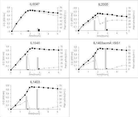 Growth And Lysis Of L Lactis Il1403 And Its Prophage Mutants Growth