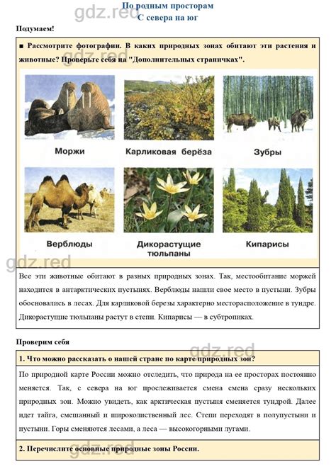 Вопросы к странице 79 ГДЗ Окружающий мир 4 класс Учебник Плешаков