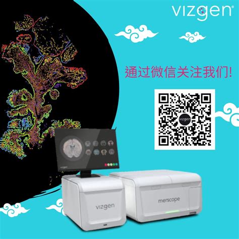 Vizgen On Linkedin Spatialgenomics Spatialgenomics Merscope