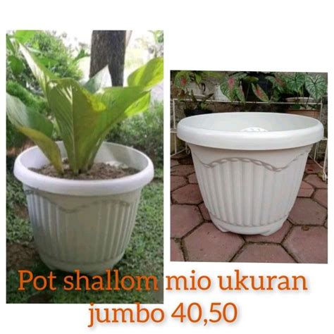 Pot Bunga Plastik Ukuran Jumbopot Tanaman Ukuran 4050 Hitam Ukuran