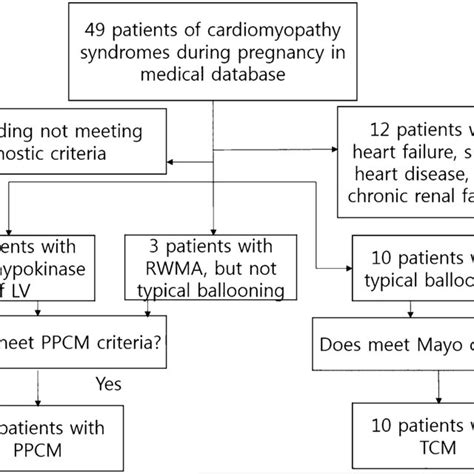 Inclusion Of Patients Lv Left Ventricle Ppcm Peripartum