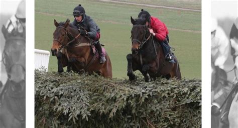 The Rookies Guide To Racing National Hunt Jump Racing Eclipse