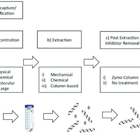 Schematic For The Study Design Of Our Edna Capture Optimization
