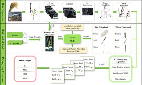 논문 리뷰 Ipensinteractive Unsupervised Framework For Rapid Plant Phenotyping Extraction Via Nerf