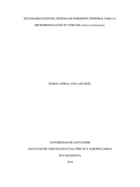 Estandarización Del Sistema De Inmersión Temporal Para La