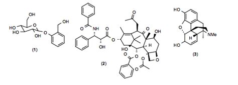 Plant Secondary Metabolites Analysis Service Creative Proteomics