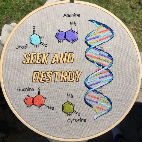 I Hope I Captured The Correct Structure Of Sirna In This One Labrats