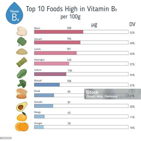 비타민 B9 또는 엽 산 Infographic 0명에 대한 스톡 벡터 아트 및 기타 이미지 0명 건강관리와 의술 건강한 생활방식 Istock