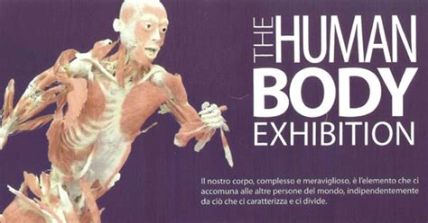 La Muestra The Human Body Exhibition Provoca Escándalo En Italia