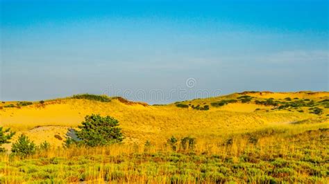 Sand Dunes And Grass Of The Provincelands Cape Cod Ma Us Stock Image Image Of Cape Race