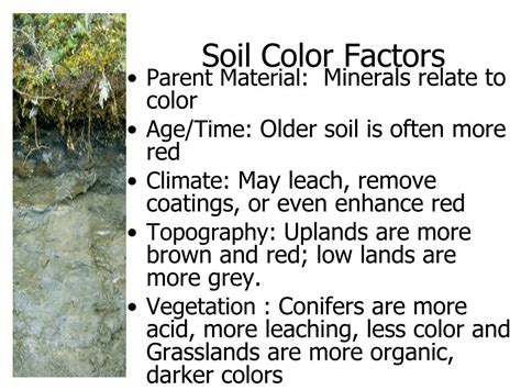 PPT Soil PowerPoint Presentation Free Download ID 3920483