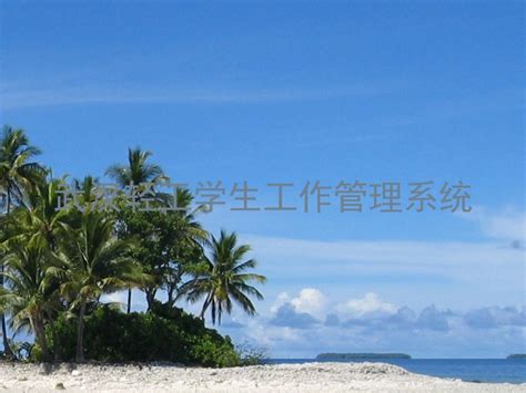 武汉轻工学生工作管理系统武汉大学学生工作管理系统武汉学院学生工作管理系统 学工系统 智慧校园