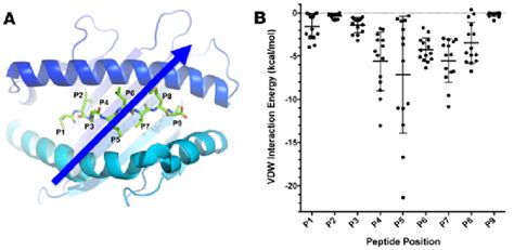 Analysis Of Tcr Nonamer Phla Complex Interactions Shows Common Binding