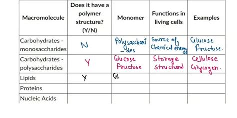 Polymers And Monomers Chart