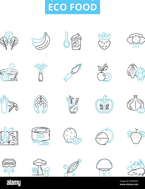 Eco Food Vector Line Icons Set Organic Natural Sustainable Local Environmentally Friendly
