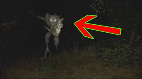 El Blog De El Divino El Chupacabras