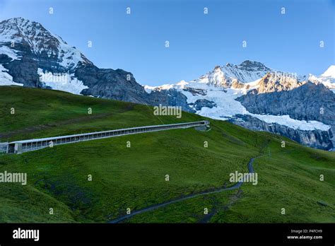 Famous Train Between Grindelwald And The Jungfraujoch Station Railway