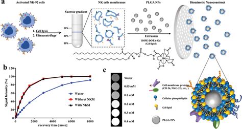 A Schematic Illustration Of The Preparation Process Of Biomimetic