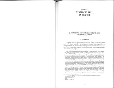 Capítulo 1 El Derecho Penal En General Poder Punitivo Studocu